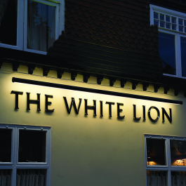 Sign Lighting | Light Up Your Signage with LED Trough Lighting