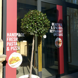Window Branding | Custom Printed Window Graphics for Offices